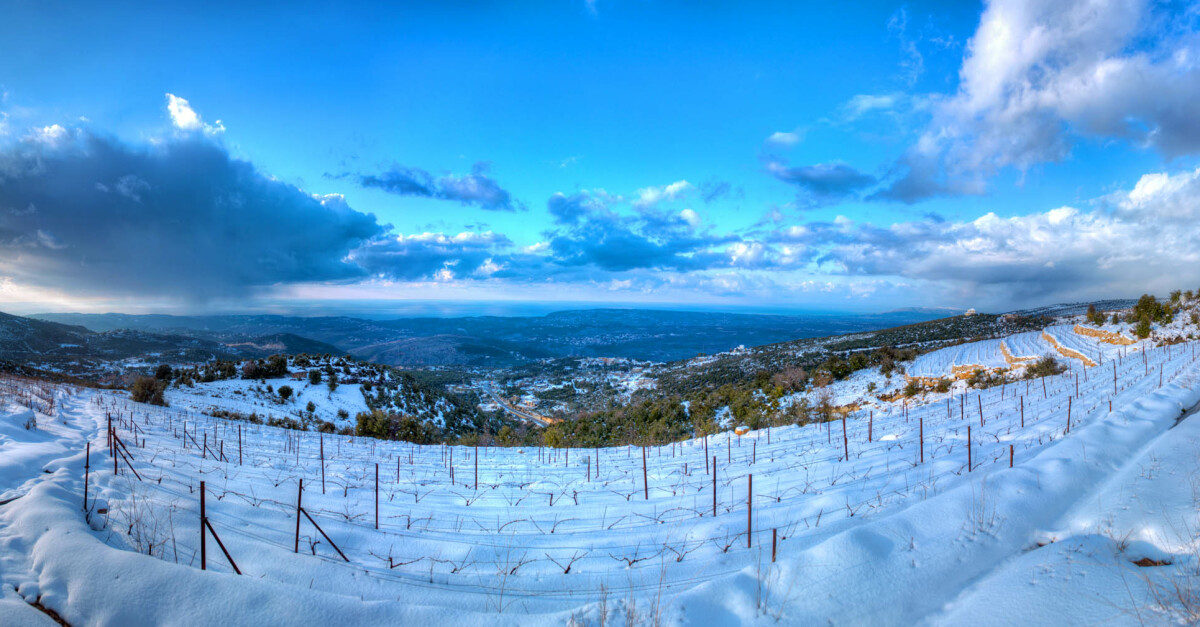 Batroun Mountains - Winery in Batroun | Winetourism.com