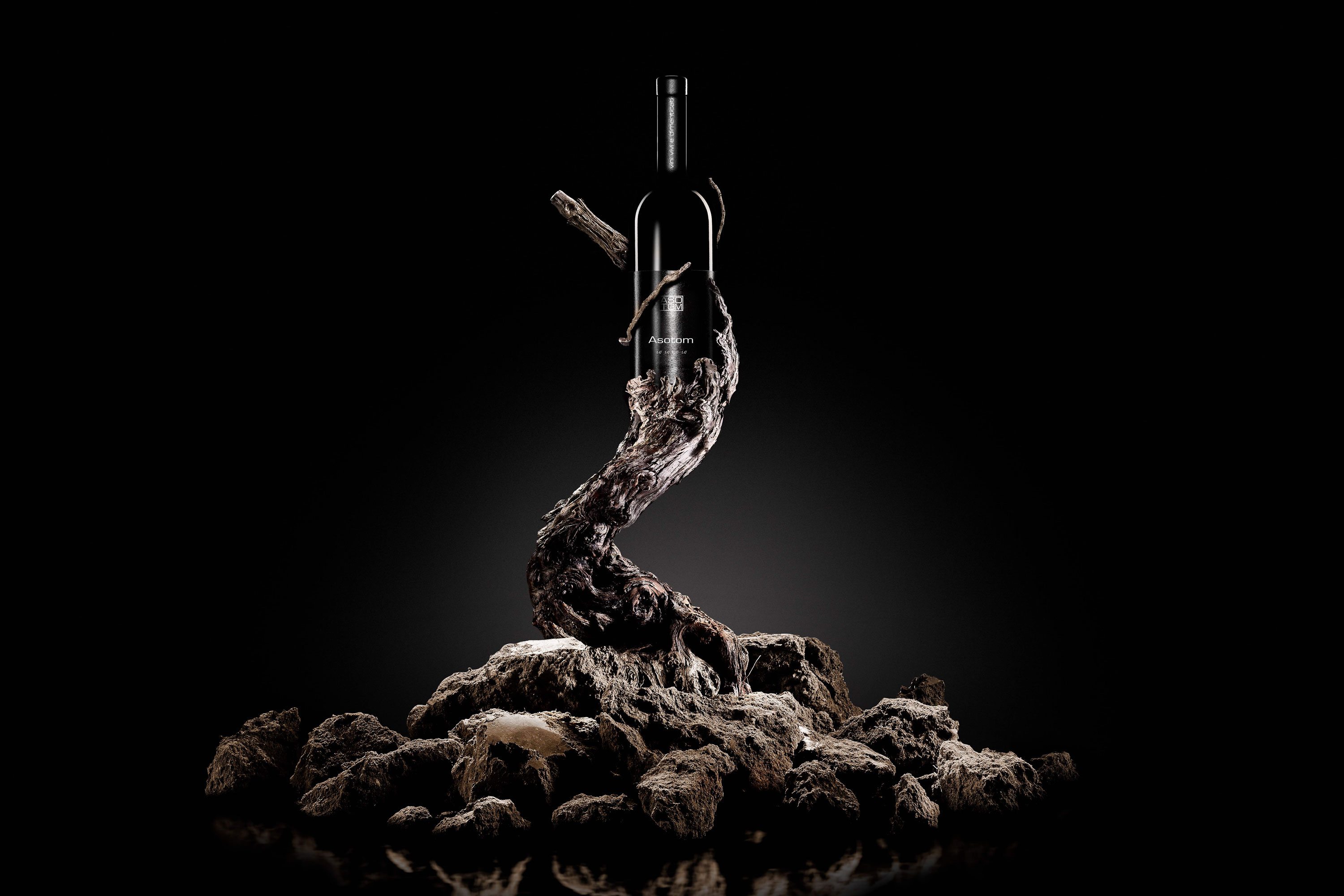Asotom wines - Winery in Piedmont | Winetourism.com