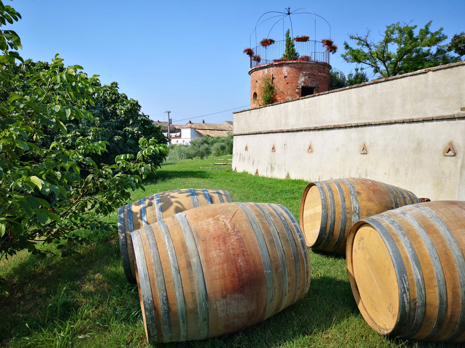 Asotom wines - Winery in Piedmont | Winetourism.com