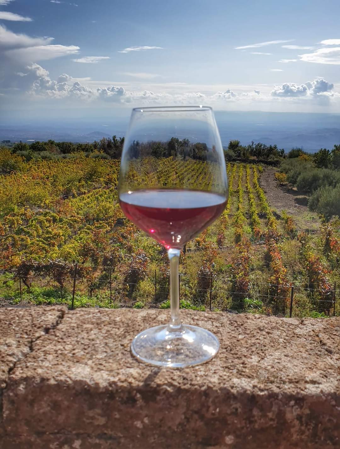 Podere Dell'Etna Segreta - Tasting of Etna Wines Out of the Box in ...