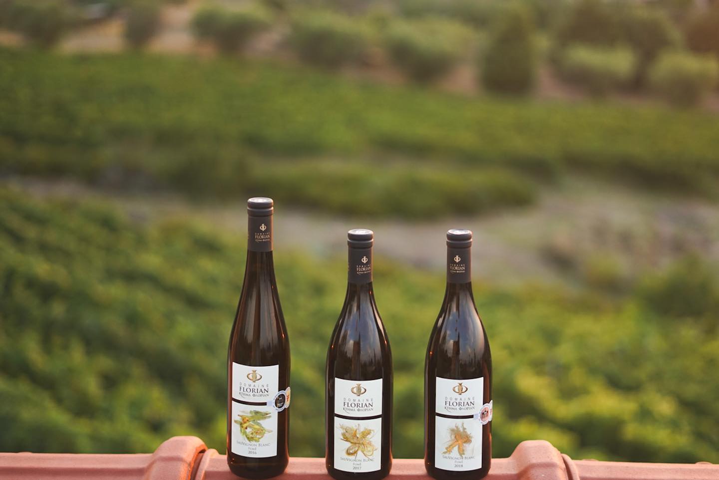 Domaine Florian - Tasting of 5 Wines and Platter in Macedonia ...