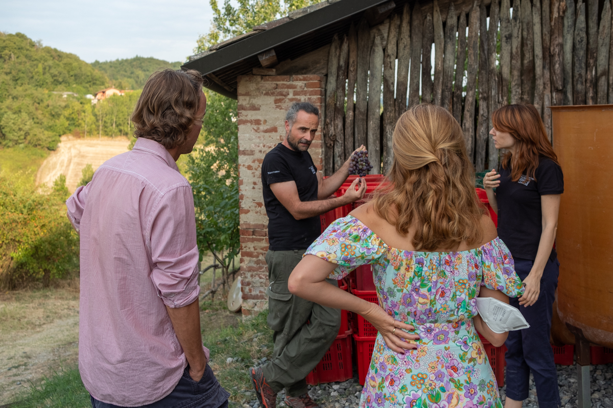 Asotom wines - Winery in Piedmont | Winetourism.com