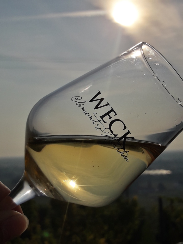 Weck Clément et Fils - Winery in Alsace | Winetourism.com