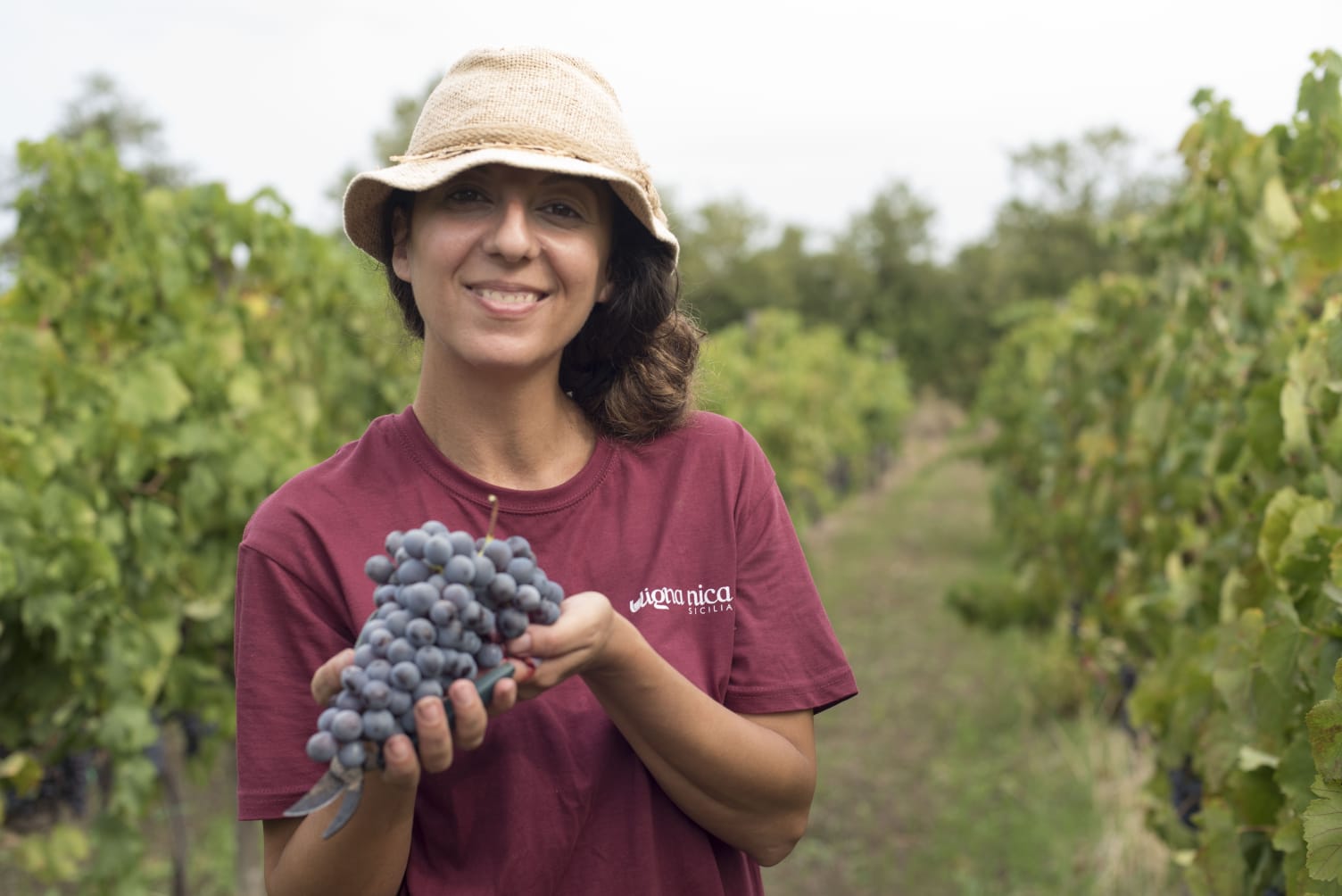 Vigna nica - A walk in the vineyard in Sicily | Winetourism.com