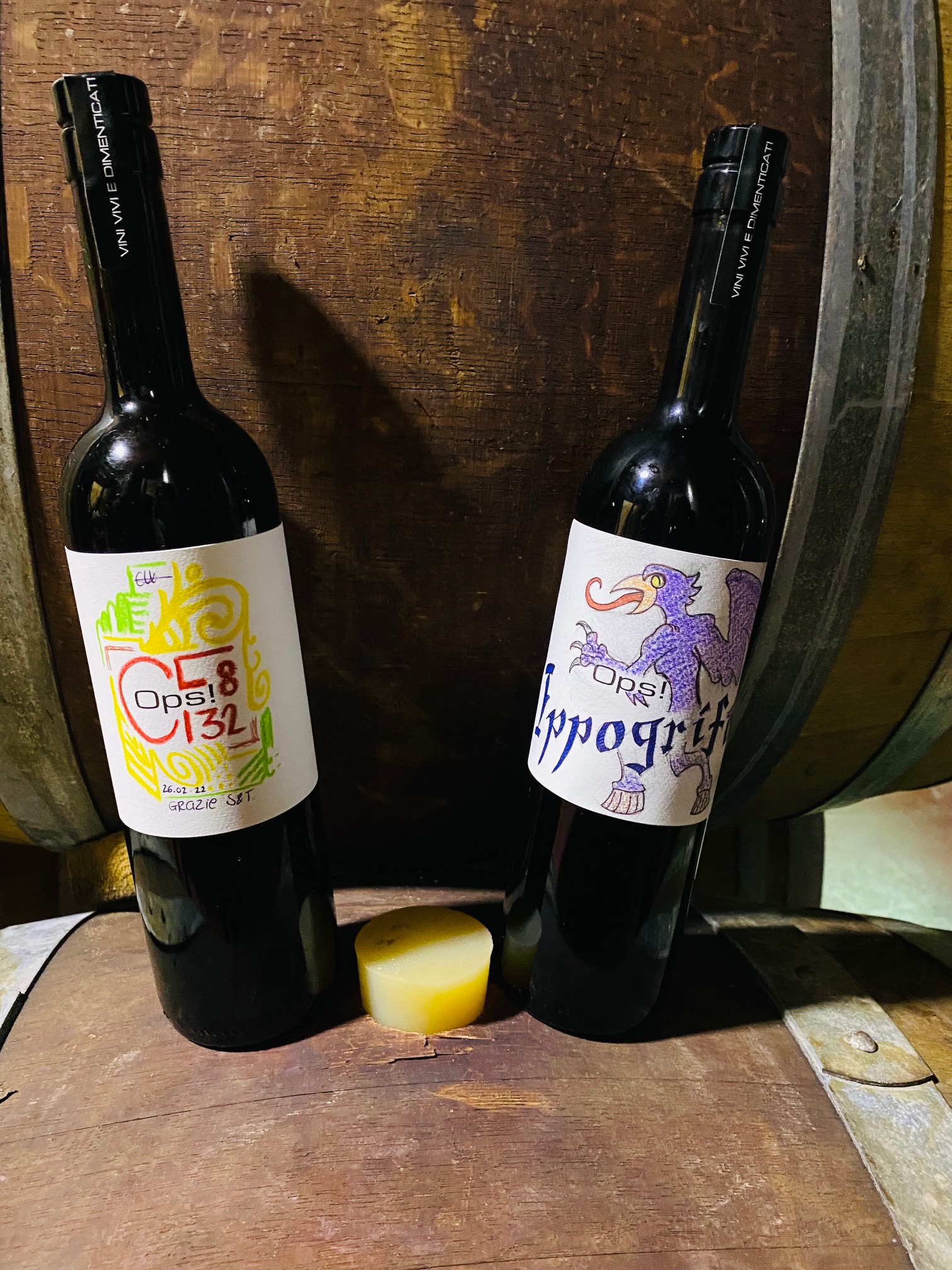 Asotom Wines - Make Your Wine in Piedmont | Winetourism.com