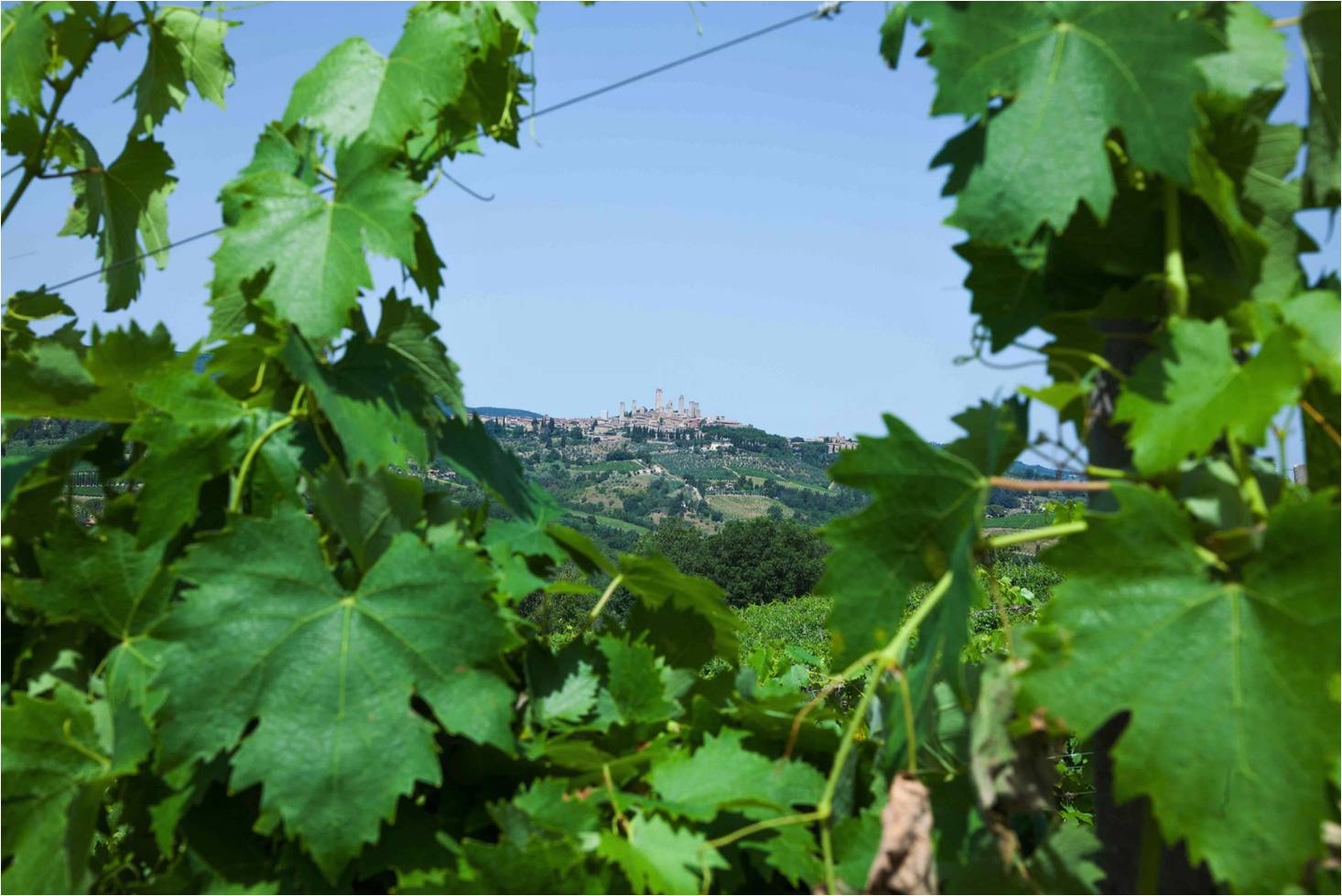 Fattoria Pietrafitta - Pietrafitta Wine Experience in Tuscany ...