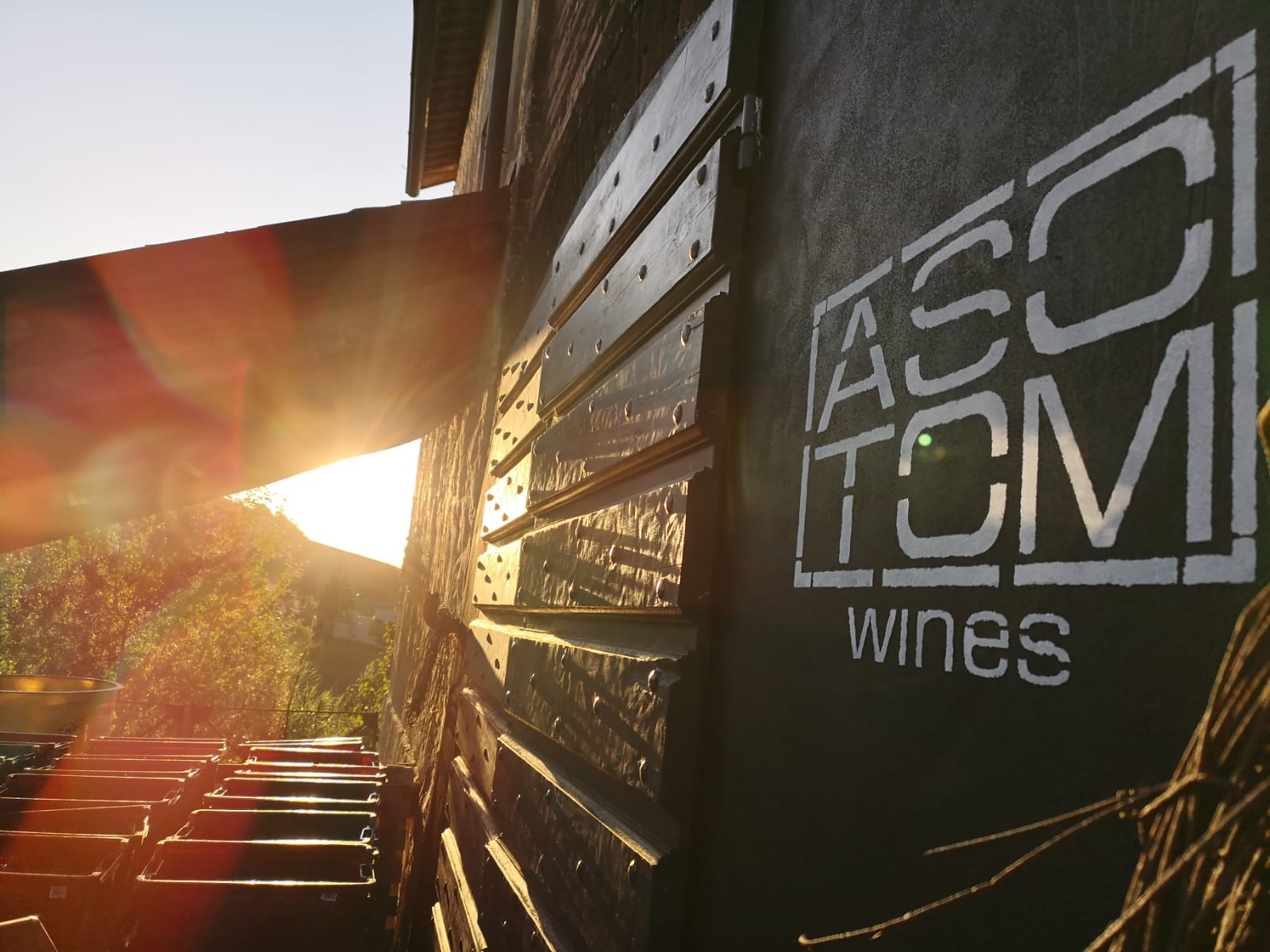 Asotom wines - Winery in Piedmont | Winetourism.com