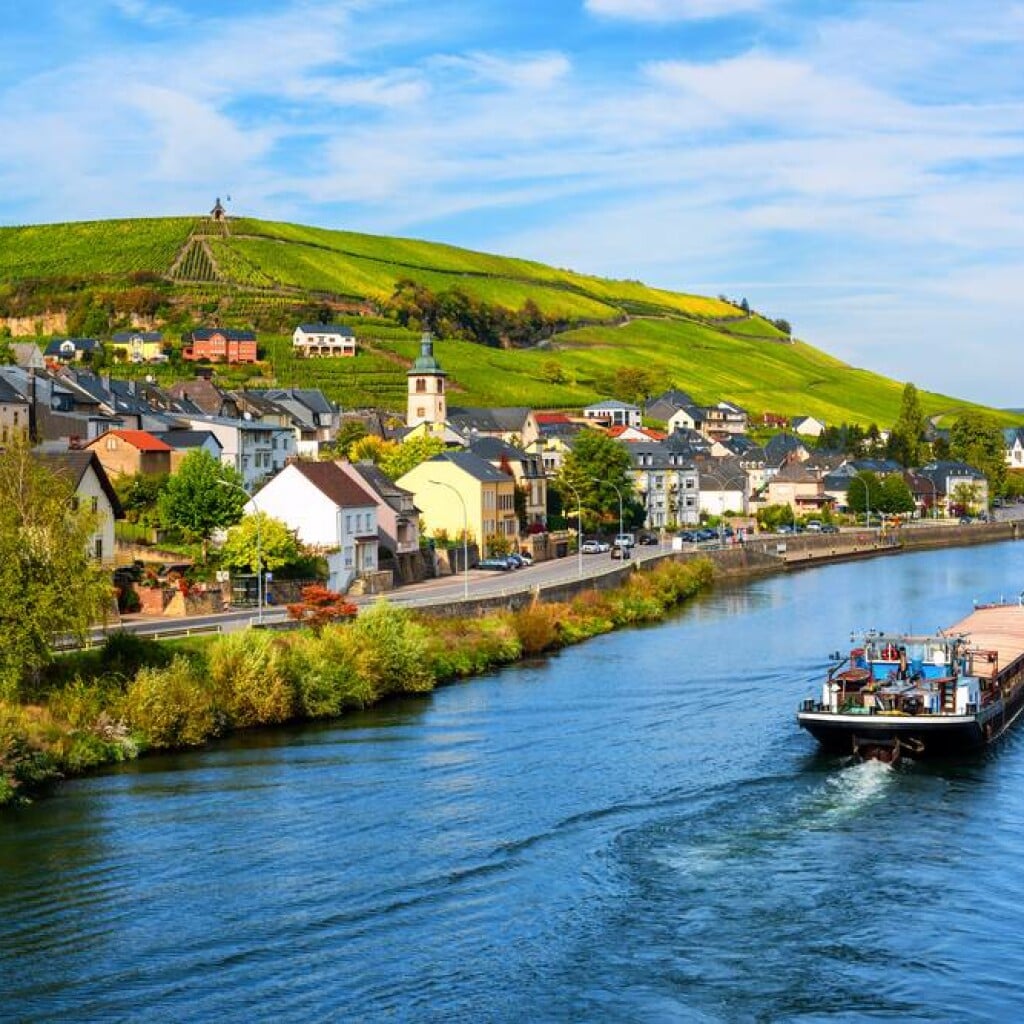 2026 Moseltor Wines: Germany's Premier Riesling | WineTourism.com
