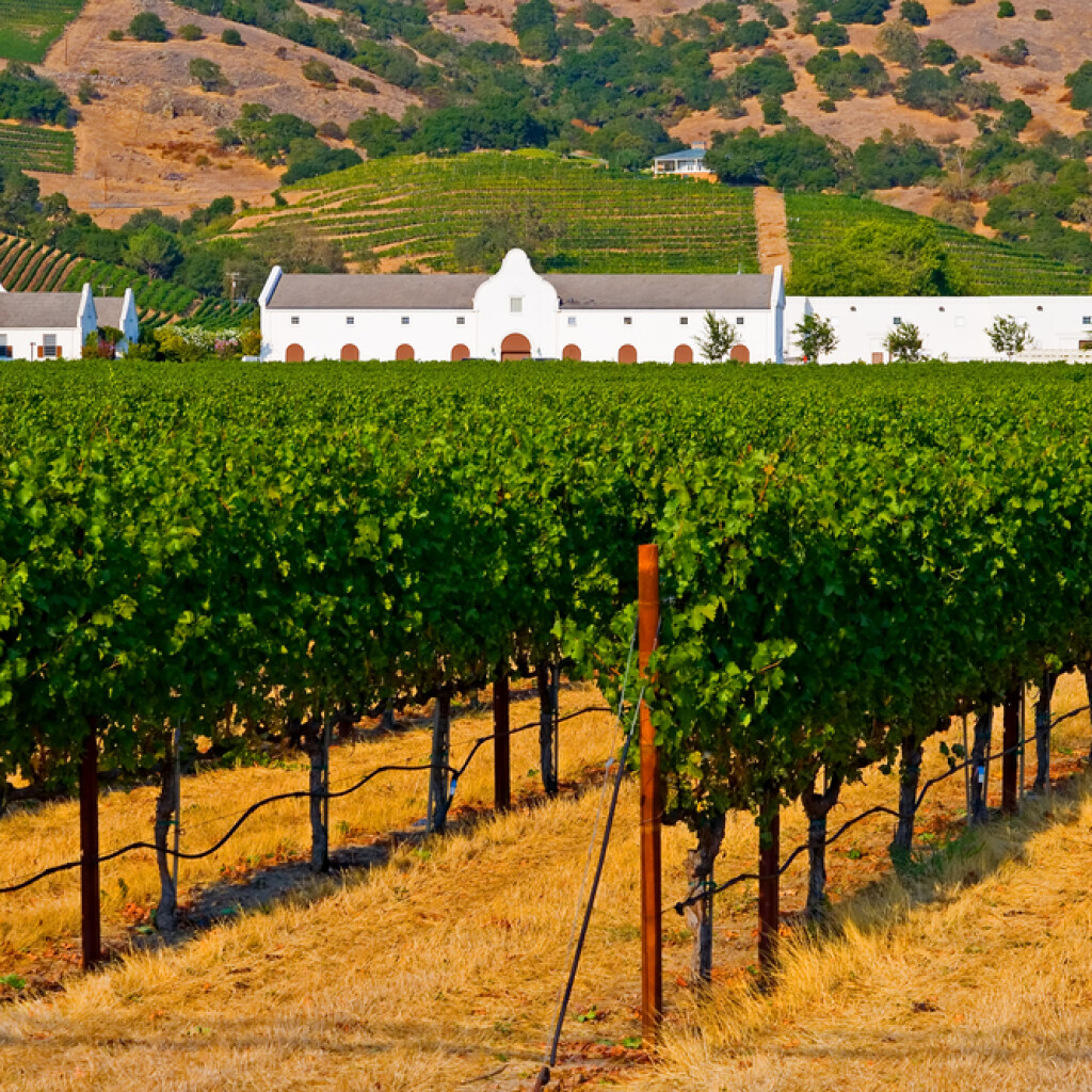California Sustainable Winegrowing Alliance | Winetourism.com