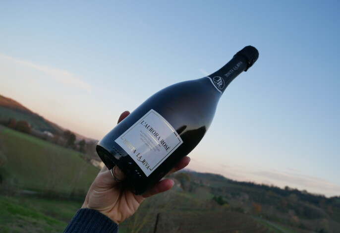 Colli Bolognesi - Wine Region in Emilia - Romagna, Italy | Winetourism.com