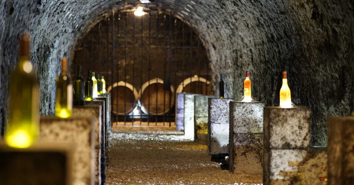 Tokaji Aszú Wine Tasting with Blue Cheese Pairing | Winetourism.com