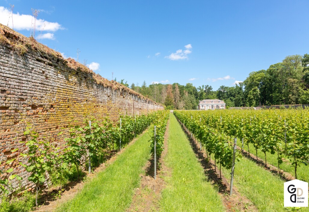 10 best wineries in Belgium to visit in 2023 | Winetourism.com
