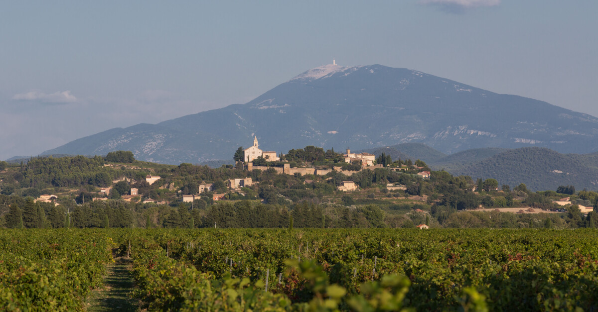 Wine Tasting at Domaine de la Présidente in Cairanne | Winetourism.com