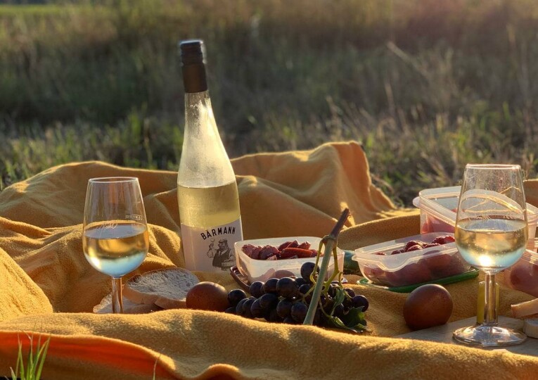Weingut Bärmann - Winery in Baden | Winetourism.com