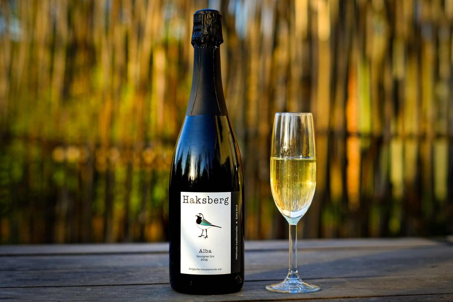 Wijnkasteel Haksberg - Wine Tasting and Tour in Belgium| Winetourism.com