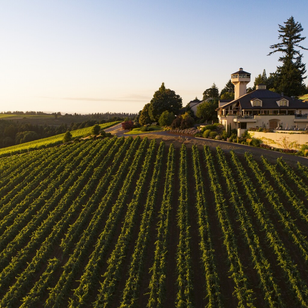 Willamette Valley Vineyards - Winery in Oregon | Winetourism.com