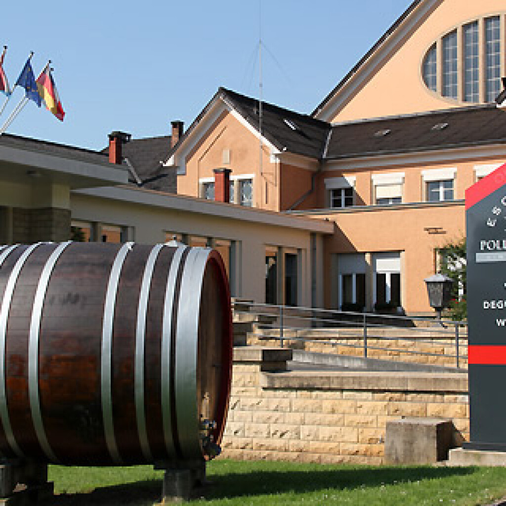 Wine Tasting at Caves de Wellenstein, Luxembourg | Winetourism.com