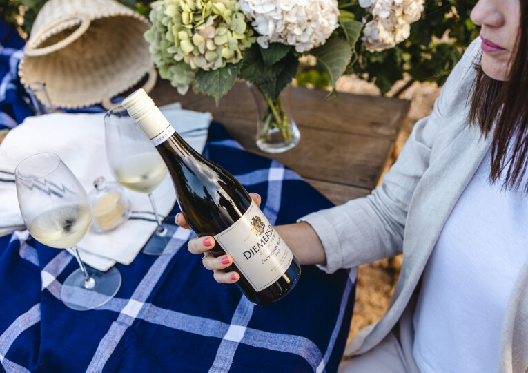 Meerendal Wine Estate - Visiting and Tasting in Coastal Region of South ...