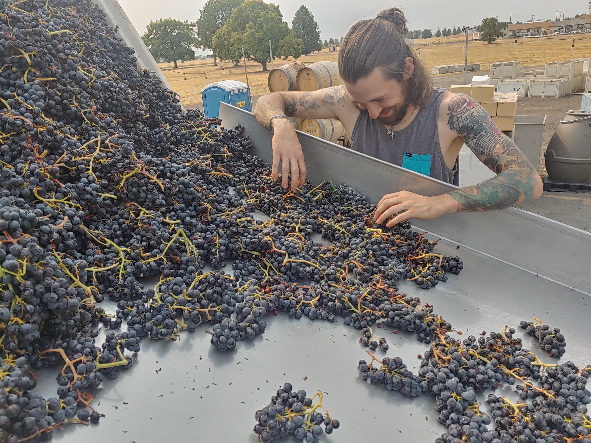 Eternal Wine Winery In Usa