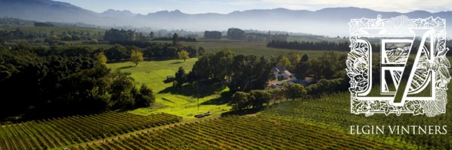 Elgin Vintners - Winery in Cape South Coast | Winetourism.com