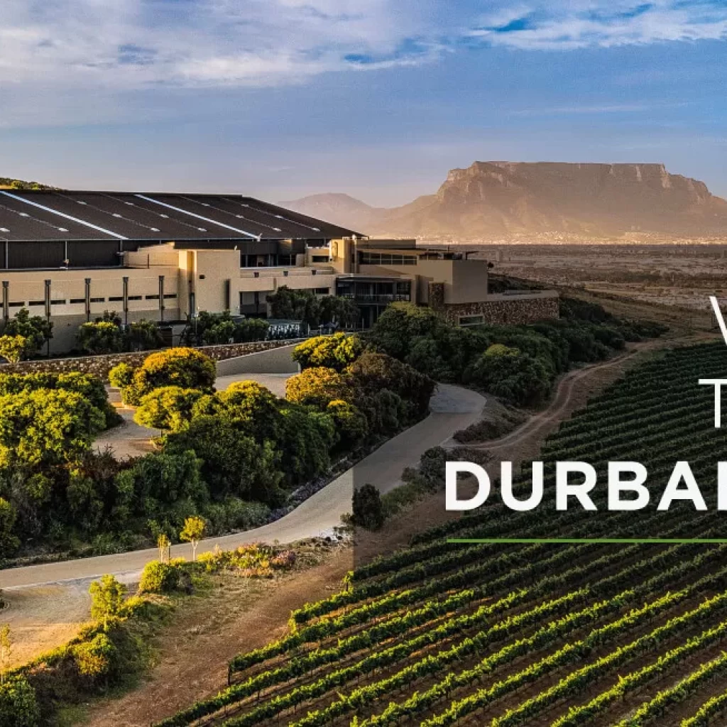 Durbanville Hills Winery - Weingut in Coastal Region of South Africa ...