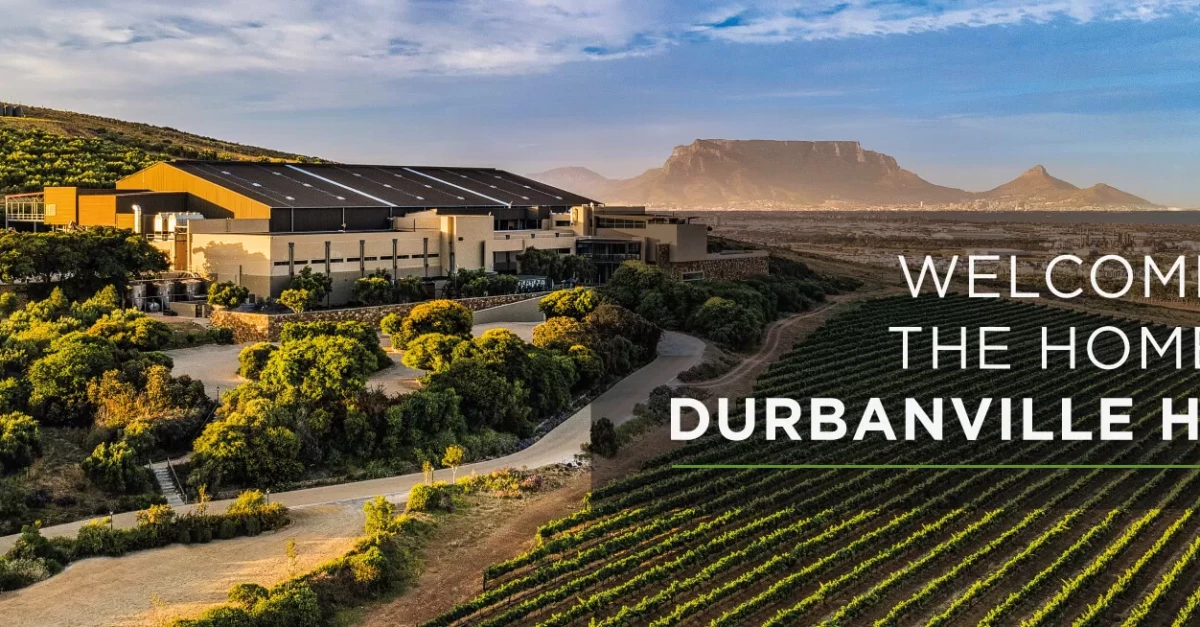 Durbanville Hills - Winery in Coastal Region | Winetourism.com