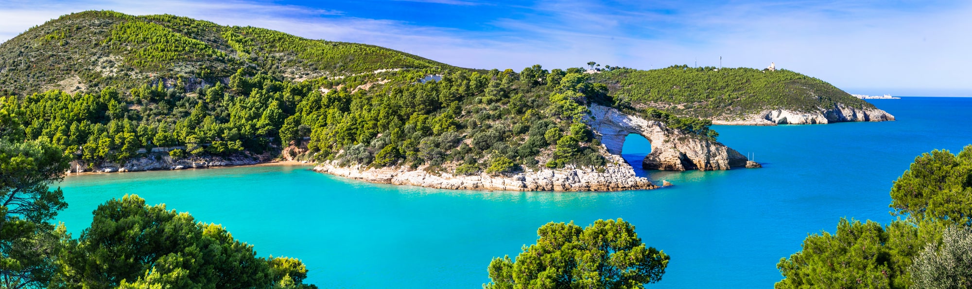 Puglia Wine Region Guide | WineTourism.com