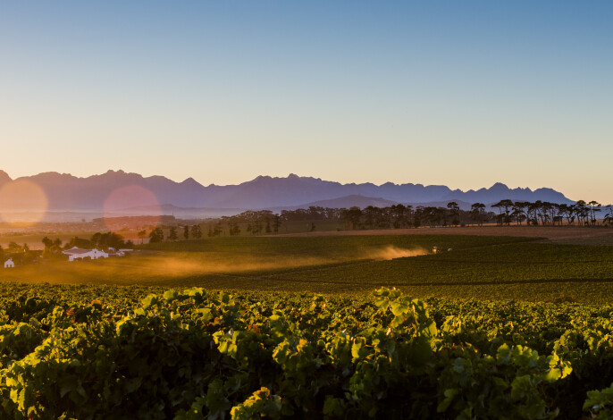 10 best wineries in Durbanville to visit in 2023 | Winetourism.com
