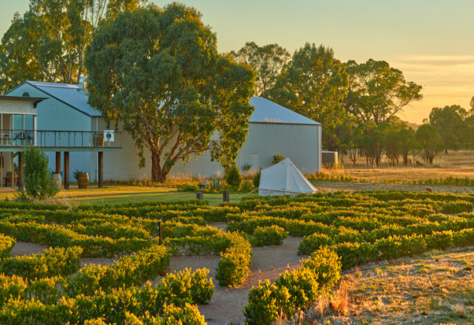 10 best wineries in Barossa Valley to visit in 2023 | Winetourism.com