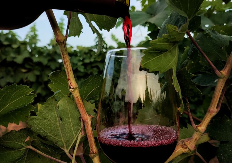 Your 2022 guide to Puglia wine region | Winetourism.com