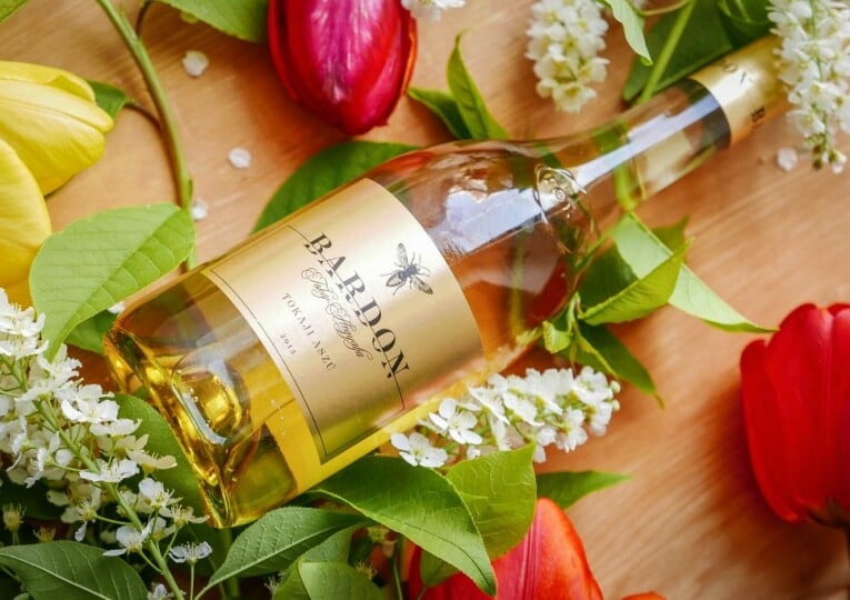 Tokaj Wine Region, Hungary | Winetourism.com