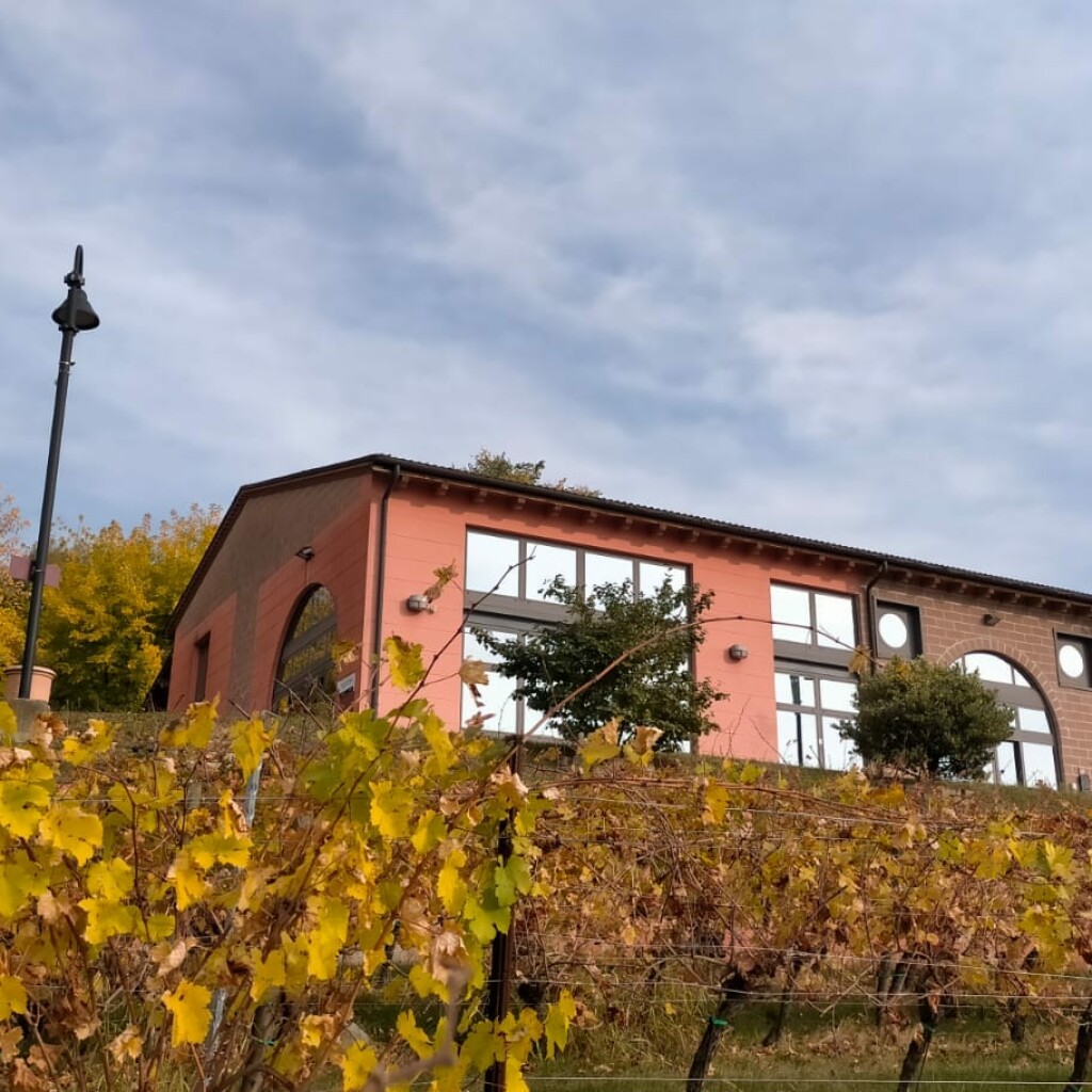 Cantina Le Pignole - wine estate in Veneto | WineTourism.com