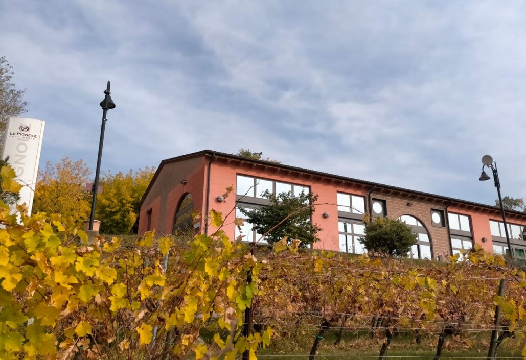 10 best wineries in Veneto to visit in 2023 | Winetourism.com