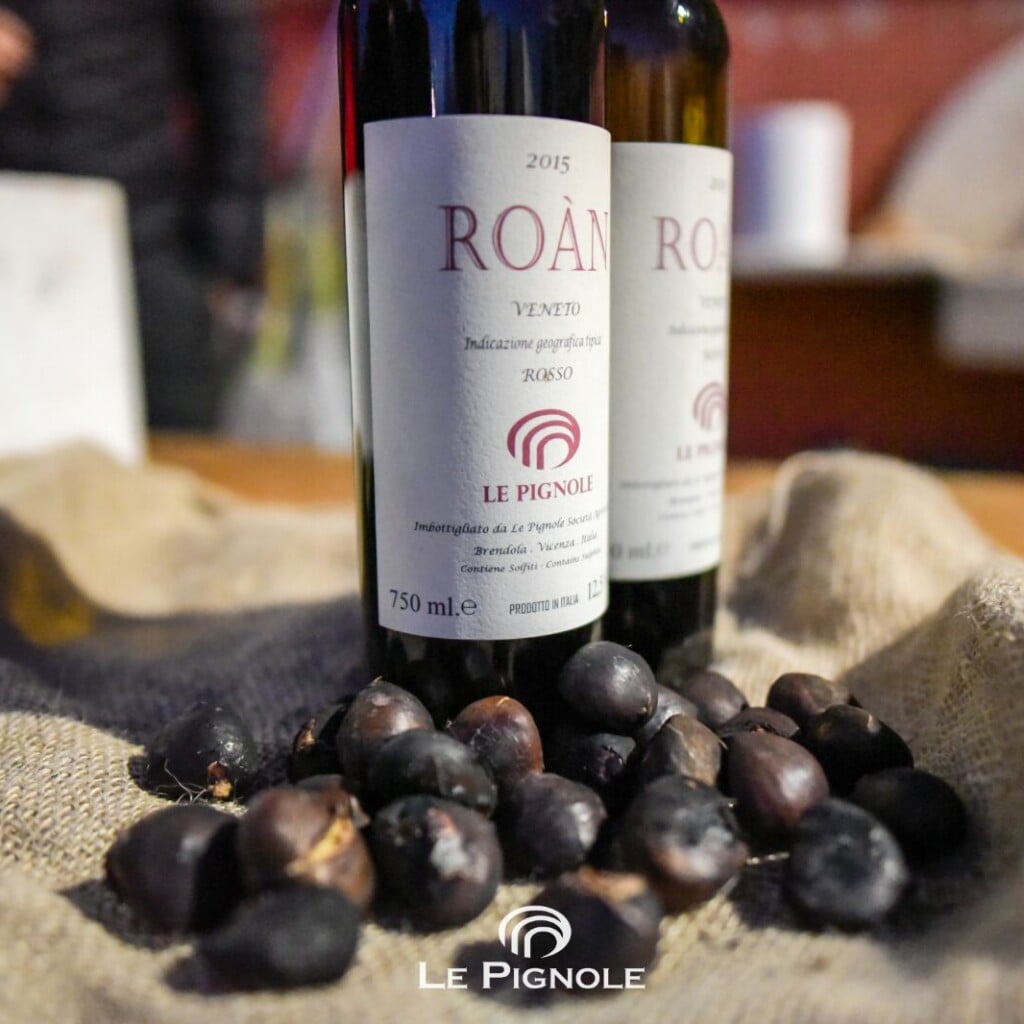 Wine Tasting & Tour at Cantina Le Pignole, Veneto | Winetourism.com