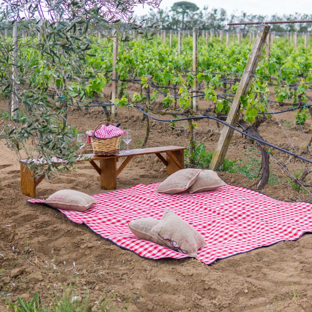 Private Wine Tasting & Picnic for Couples in Salento | Winetourism.com