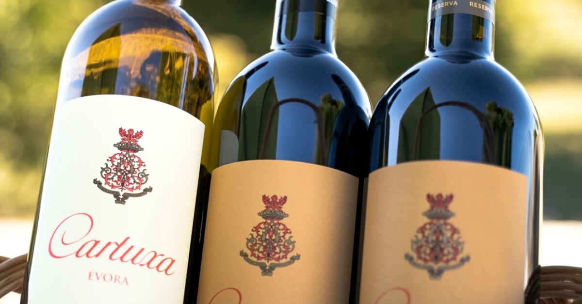 Visita guiada e degustação na vinícola Cartuxa, no Alentejo | Reserve ...