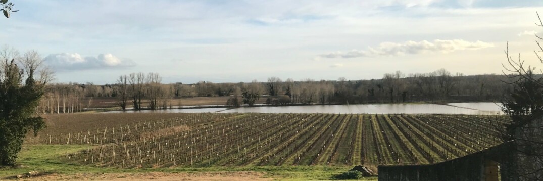 La Cave des Vignobles Pellé - Winery in Bordeaux wine region ...