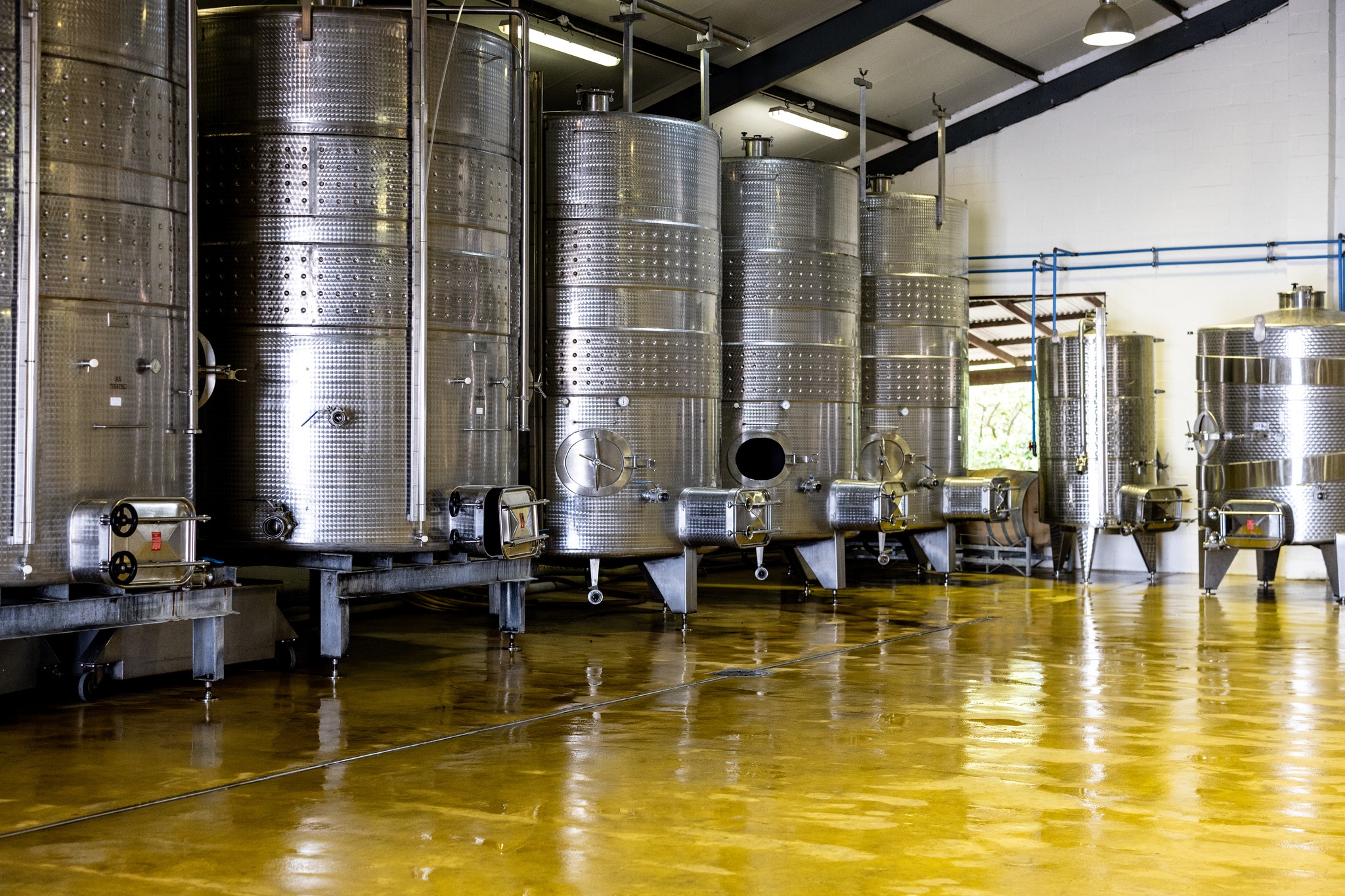 Meerendal Wine Estate - Visiting and Tasting in Coastal Region of South ...