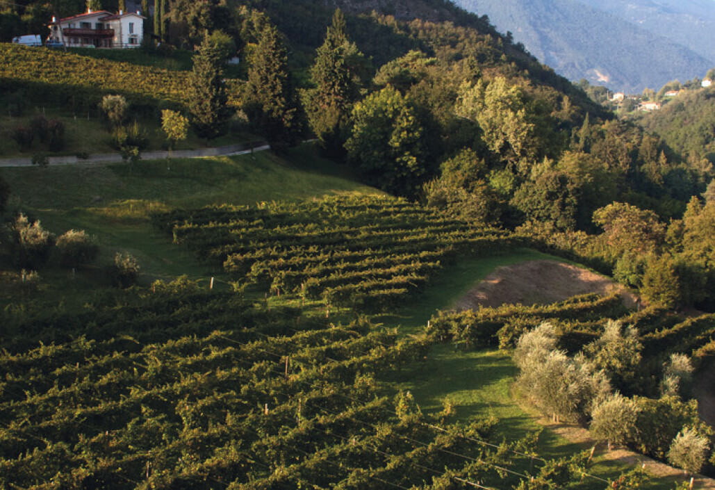 Your 2023 guide to Veneto wine region | Winetourism.com