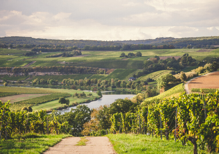 Best Wine Tasting & Tours in Germany | WineTourism.com