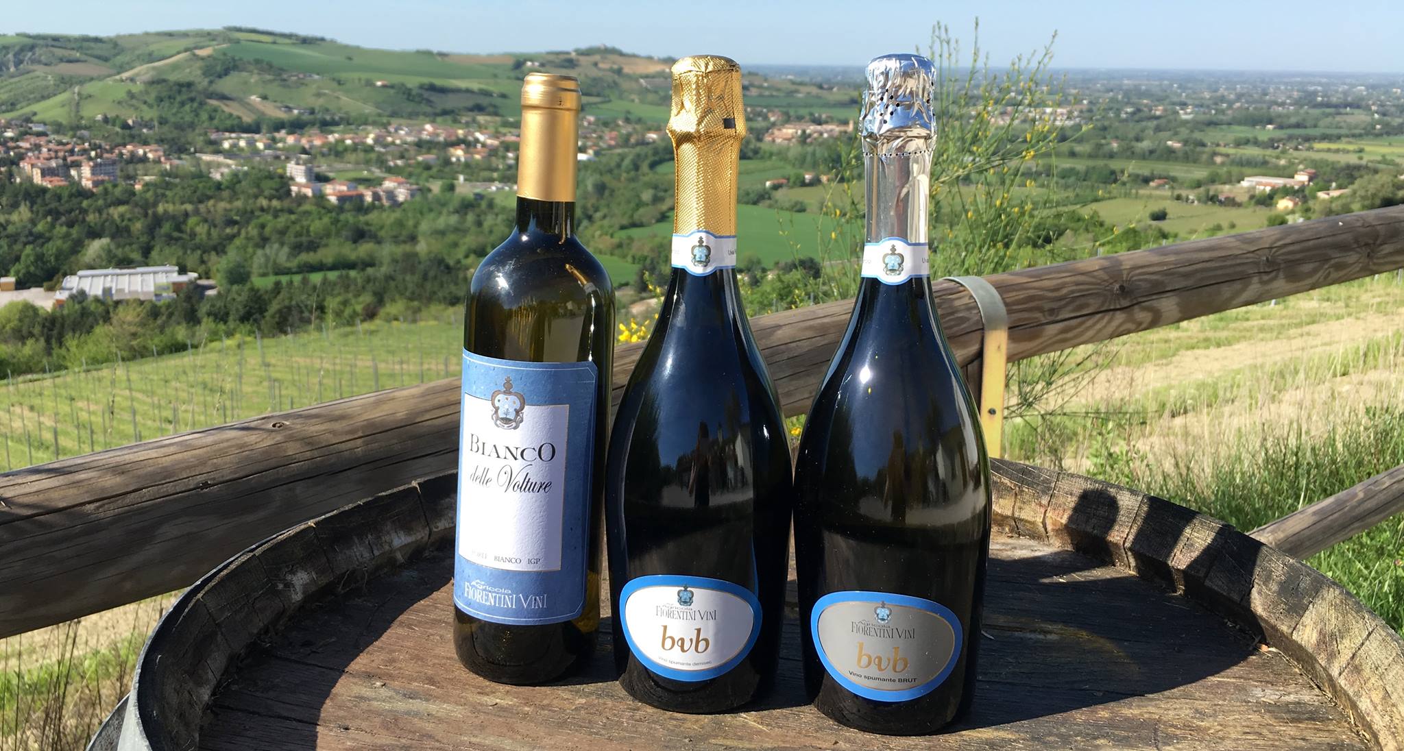 FIORENTINI VINI - Winery in Emilia - Romagna | Winetourism.com