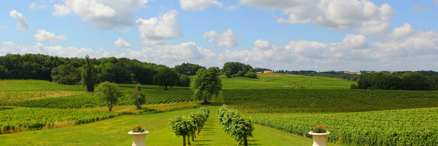 Château de l'Estang | Winetourism.com
