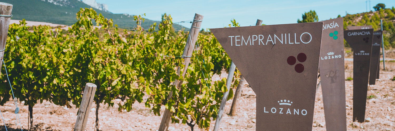 Bodegas Lozano - Winery in Rioja | Winetourism.com