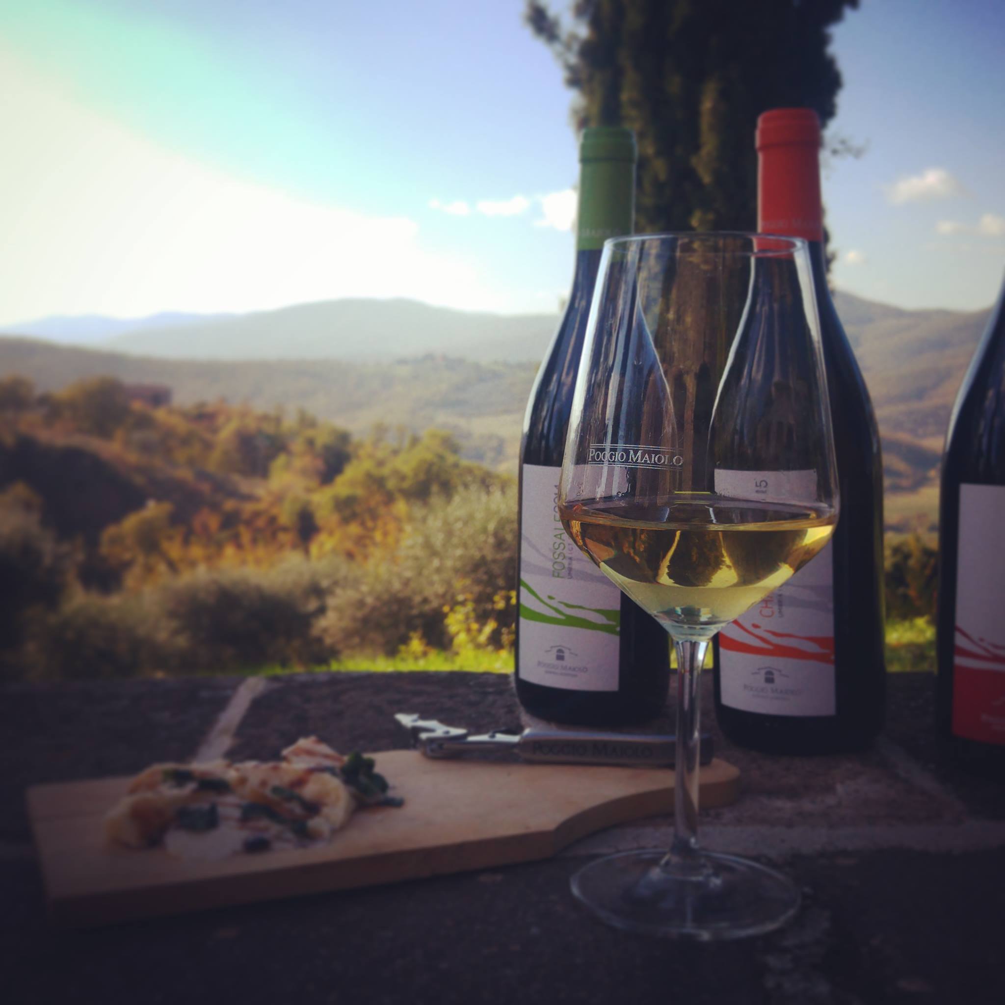 Poggio Maiolo - Tour and Tasting within Poggio Maiolo in Colli ...