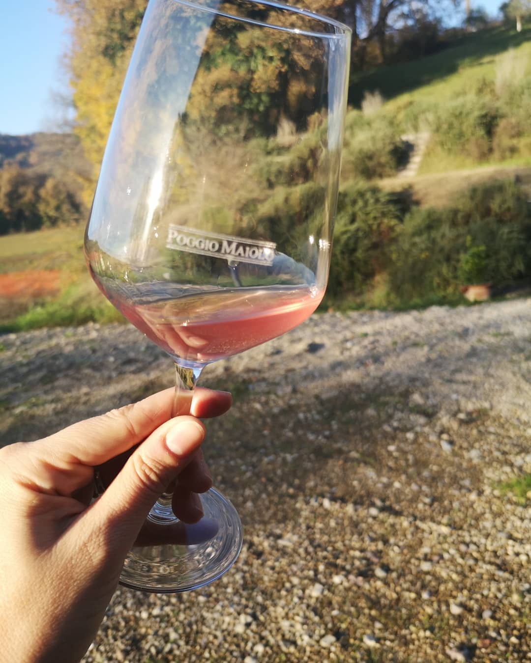 Poggio Maiolo - Tour and Tasting within Poggio Maiolo in Colli ...