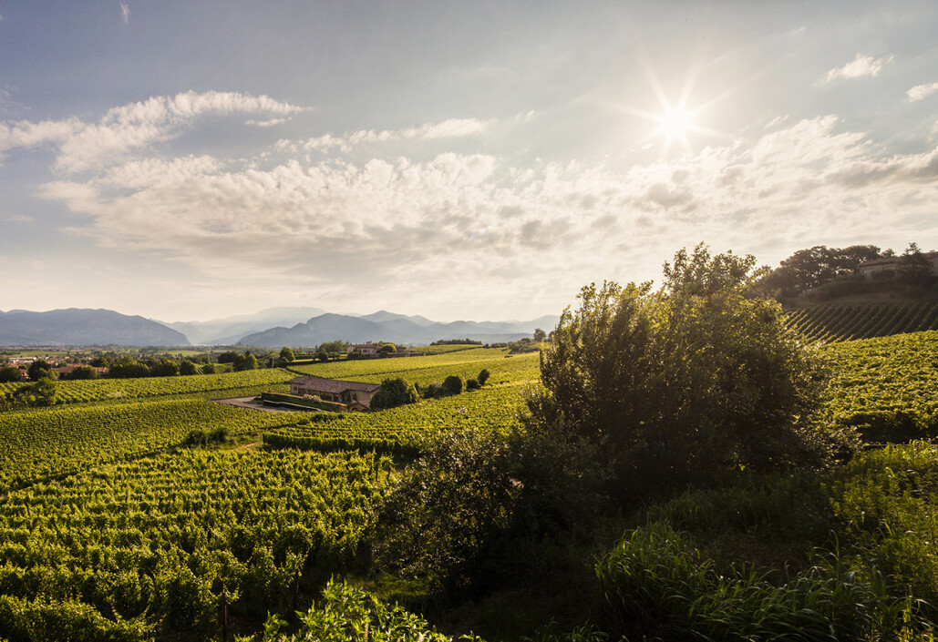 Your 2023 guide to Lombardy wine region | Winetourism.com