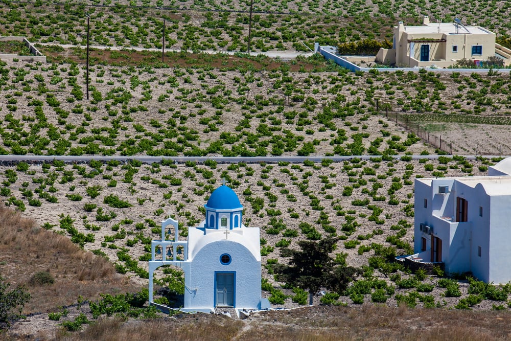 Your 2026 Guide to Greek wines and wineries | Winetourism.com