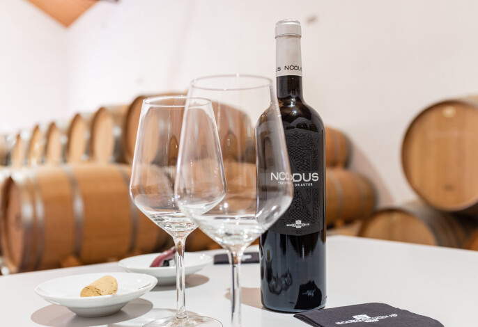 Your 2023 guide to Valencia wine region | Winetourism.com