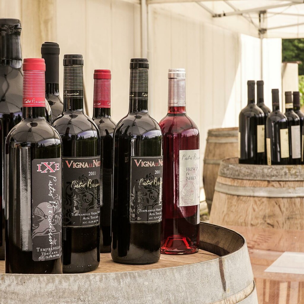 Tuscan Wine Tasting & Truffle Hunt in San Miniato | Winetourism.com
