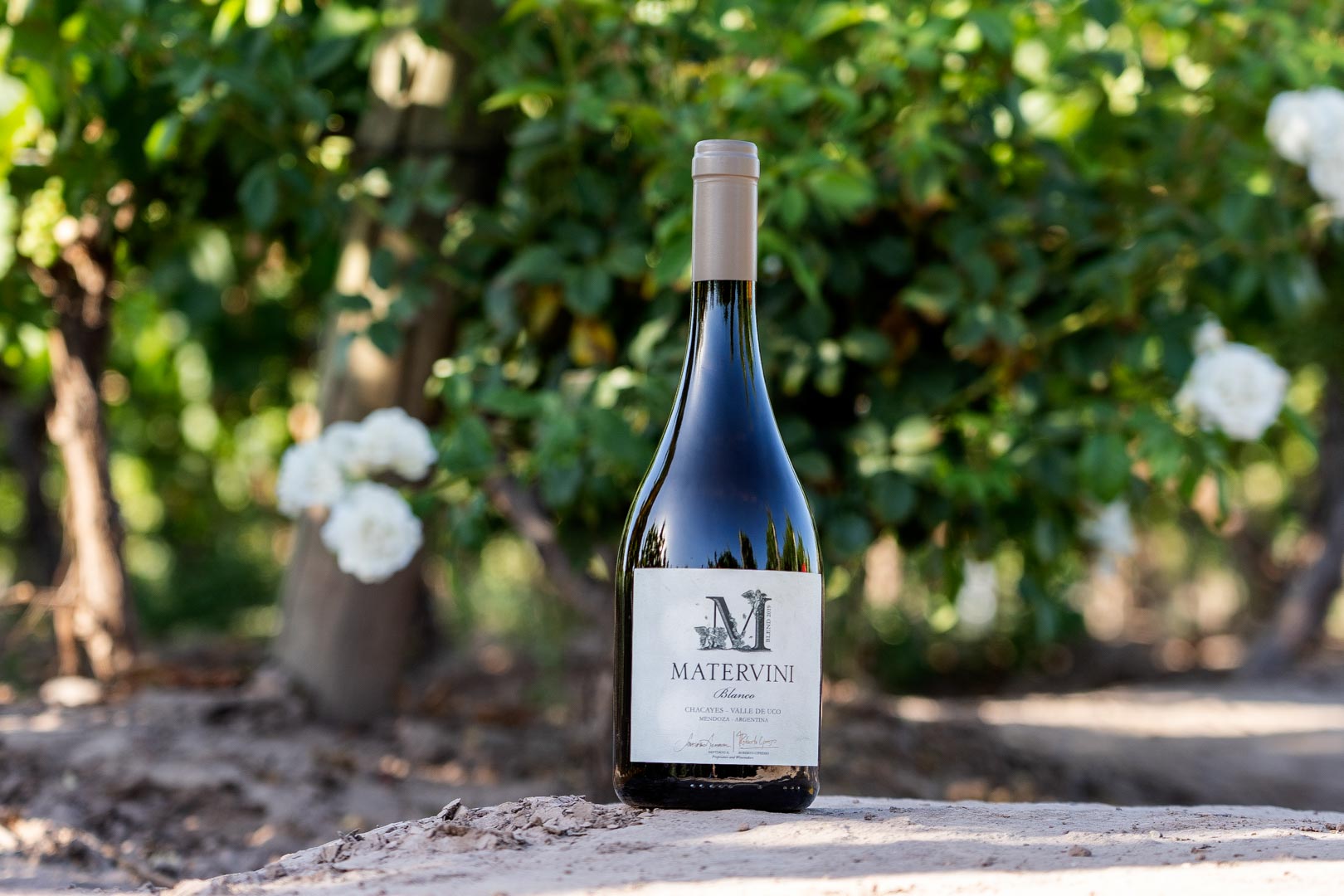 Bodega Matervini - Winery in Mendoza | Winetourism.com